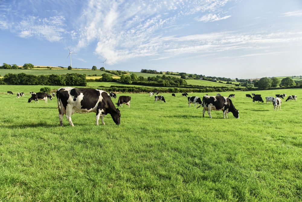 Act Now to Maximise the Length of your Grazing Season - Dairygold