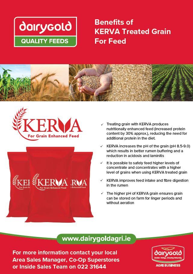 Kerva for Grain Enhanced Feed - Dairygold