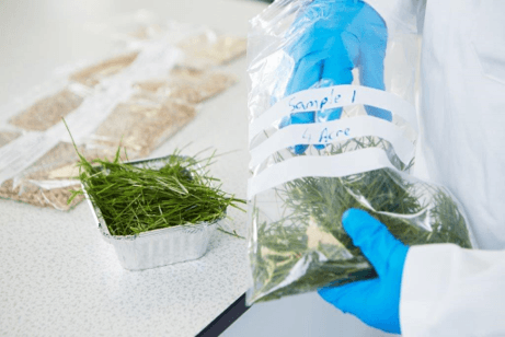 Good Quality Silage Starts with Good Quality Grass - Dairygold