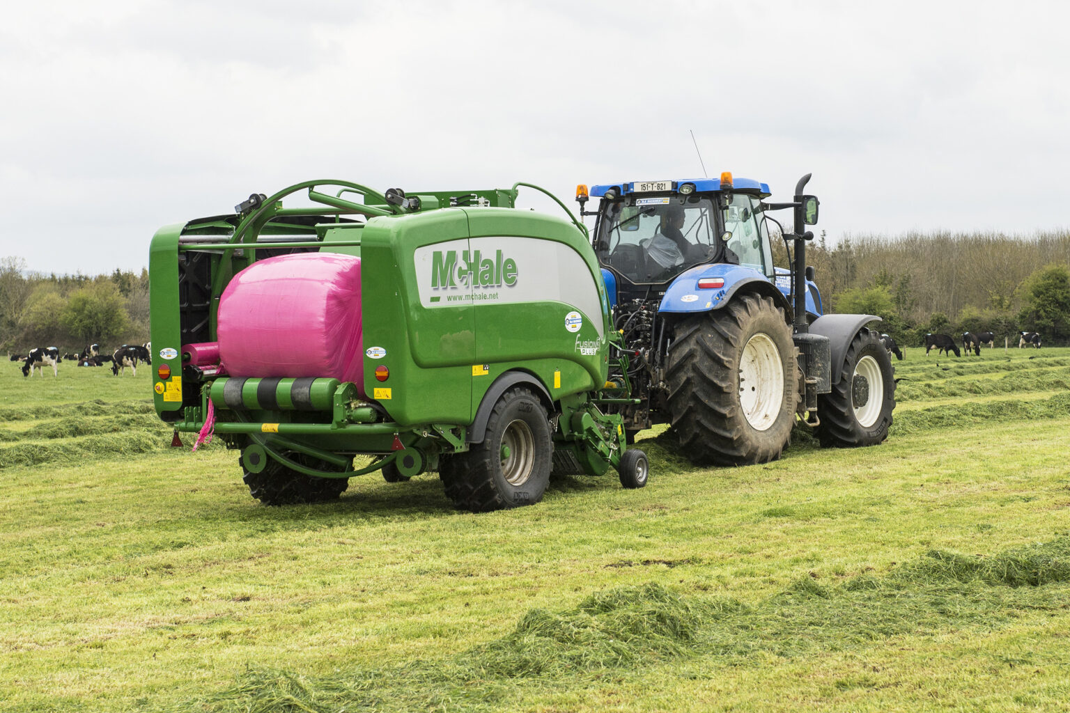 Making top quality silage this summer - Dairygold